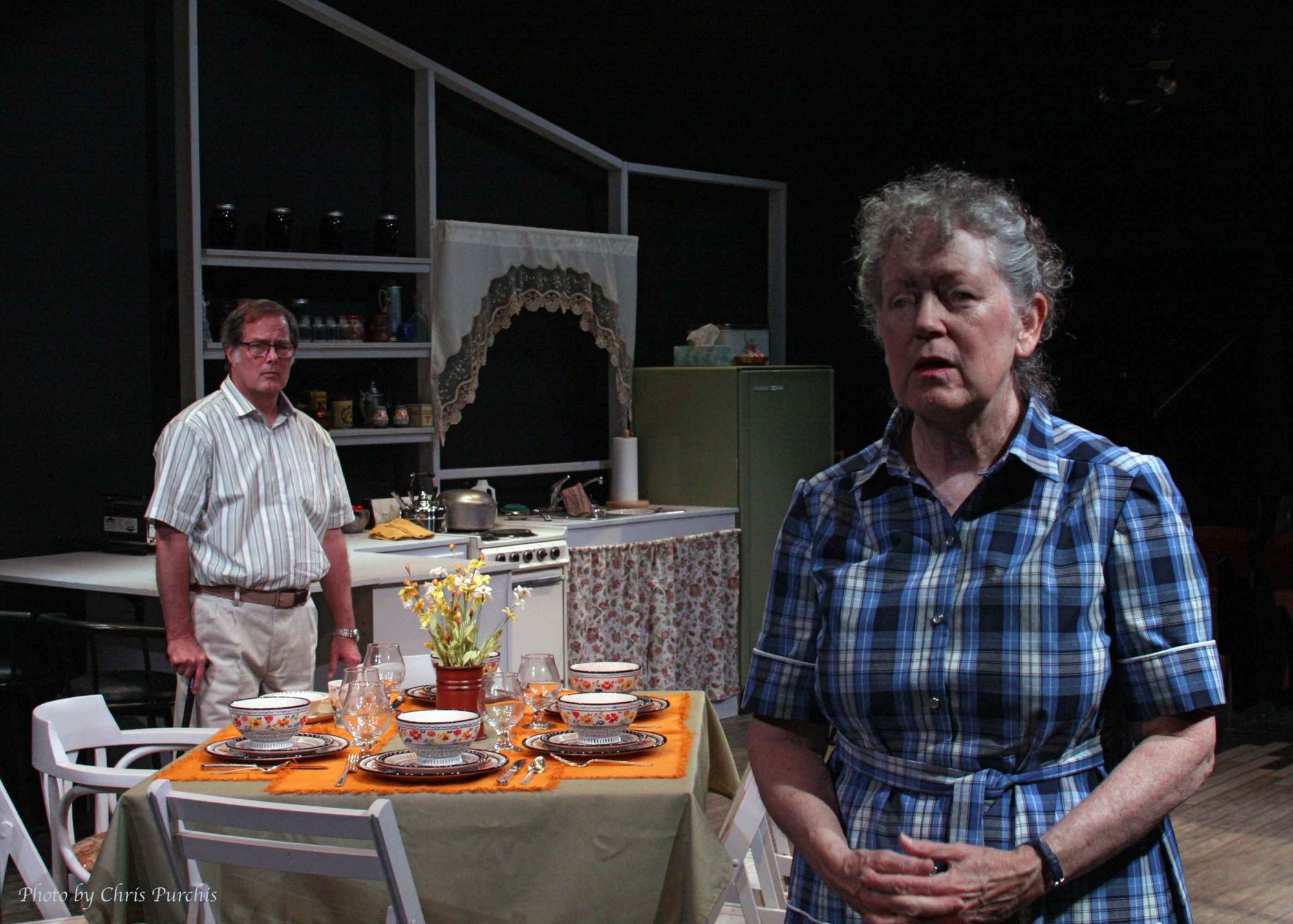 The Safe House | Williamston Theatre