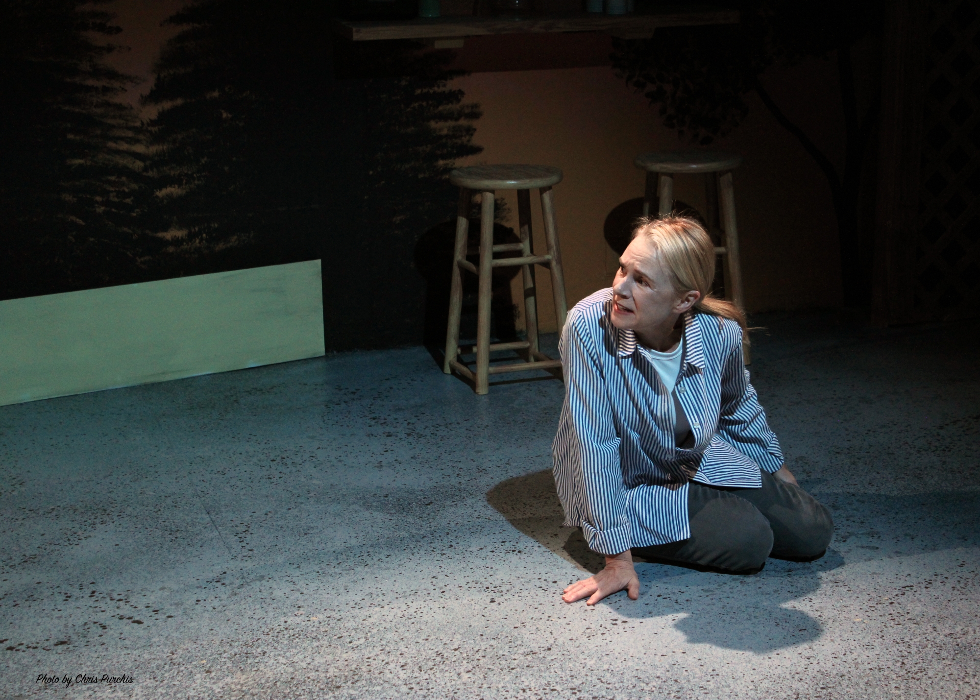 Wild Horses | Williamston Theatre